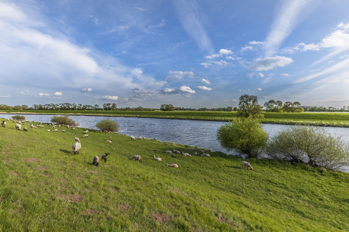 Touristinformation Pritzwalk, Prignitz, Pritzwalk