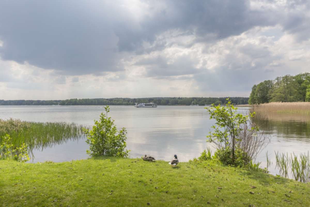 Café "Das-Gut.org", Seenland Oder-Spree, Falkenberg/Mark