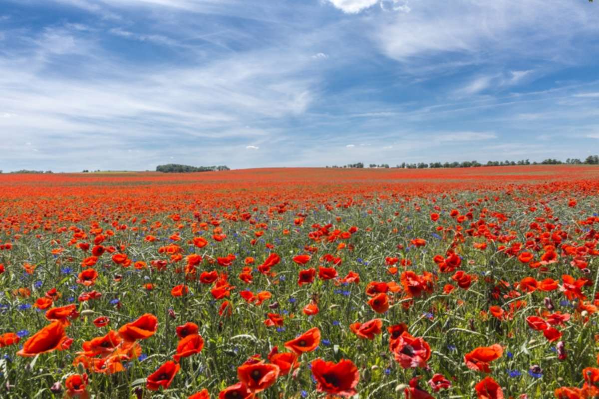 Kartbahn Templiner Ring, Uckermark, Templin