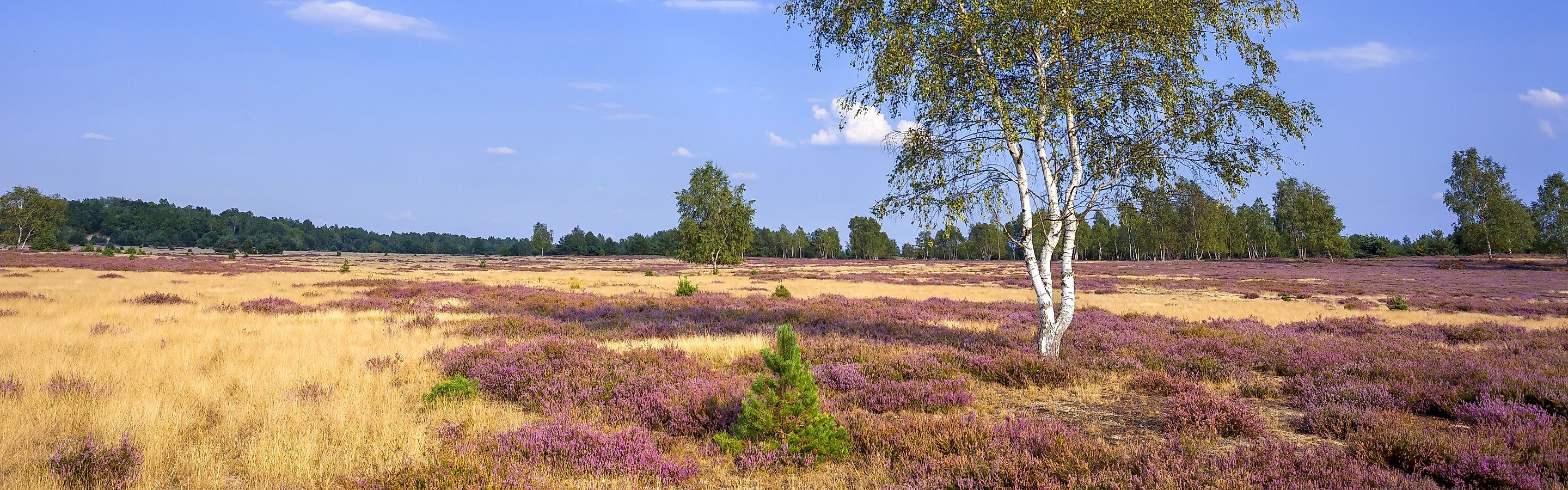Naturpark Niederlausitzer Heidelandschaft - Ihr Reise- und A